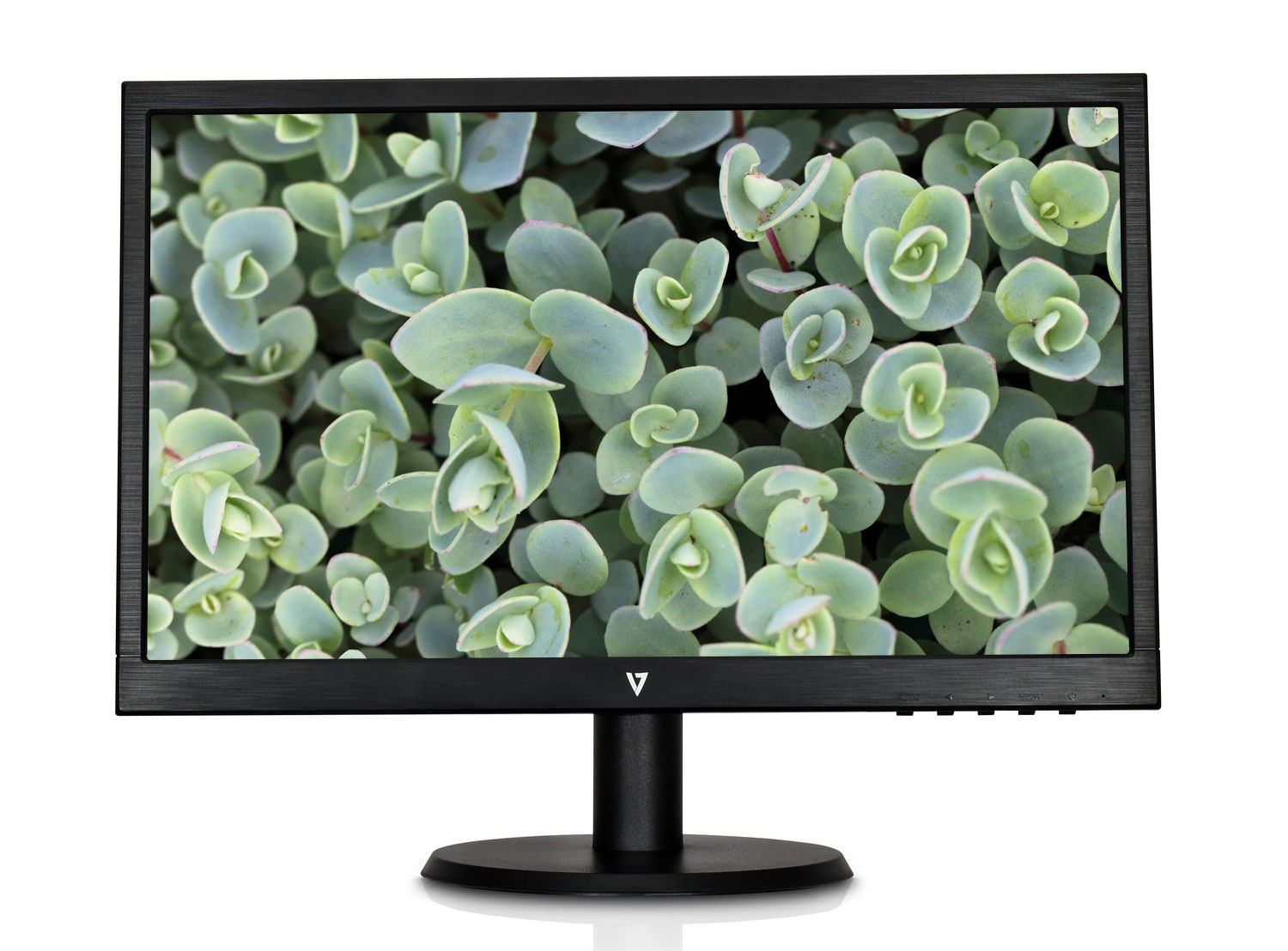 V7 L215DS-2N 22" (Actaul size 21.5") Full HD 1920x1080 5ms VGA DVI ...