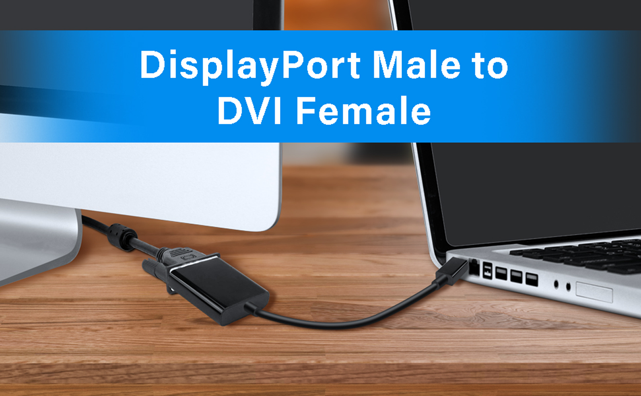 Rosewill CL-AD-DP2DVI-6-BK DP DisplayPort to DVI Video Adapter ...