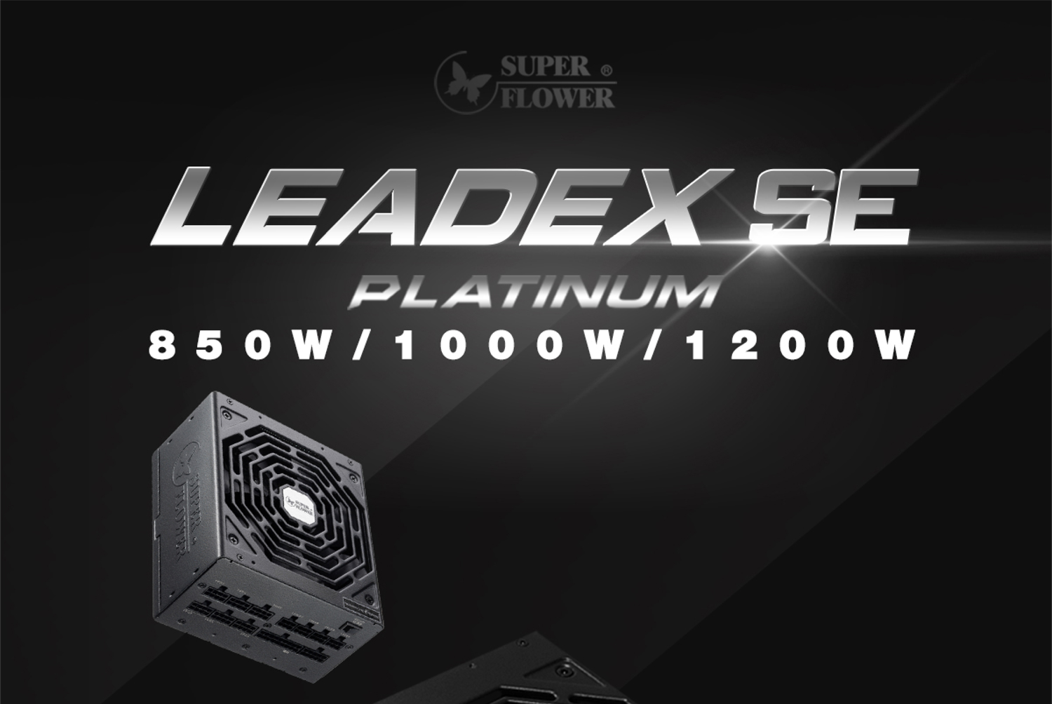 Super Flower Leadex Platinum SE 1000W 80+ Platinum, 10 Years Warranty ...