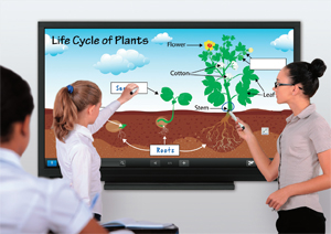 Sharp AQUOS BOARD® PN-C703B 70" Full HD Interactive Display System ...