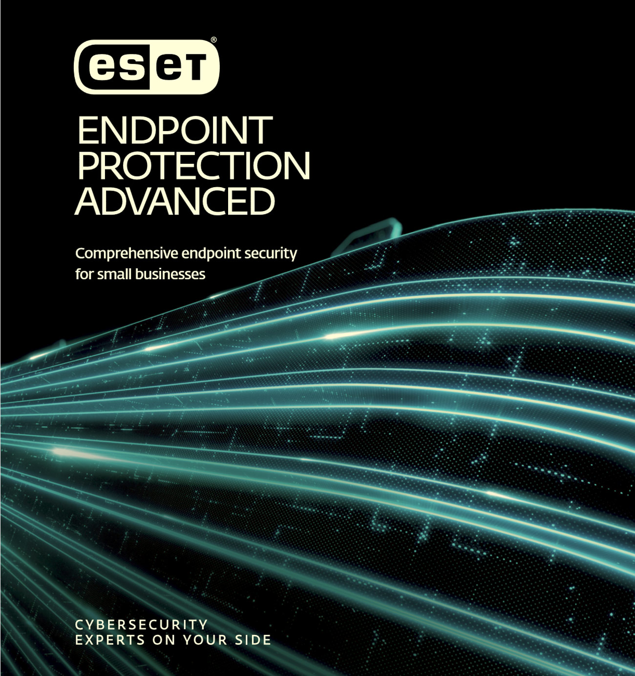 1 Year ESET Advanced Endpoint Protection - Minimum 5 to 10 units must ...