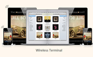 Tenda W311M USB 2.0 Wireless N150 Nano Adapter - Newegg.com