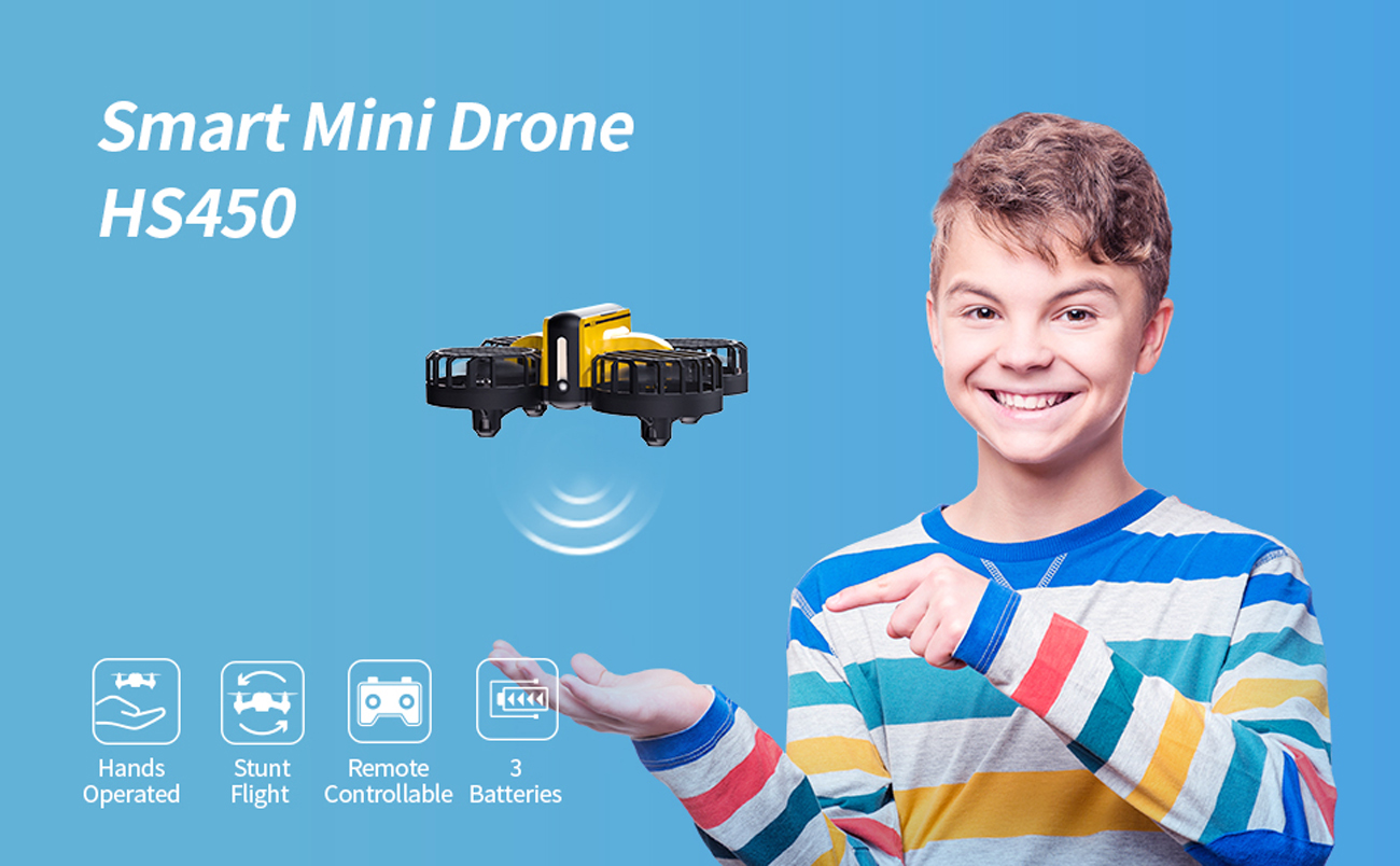Holy Stone HS450 Mini Drone, Hand Operated + Remote Control - Newegg.com