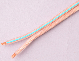 Coboc Model SPW-CL2-2C14-50-WH 50 ft. 2-Conductor CL2 Rated(In-Wall ...