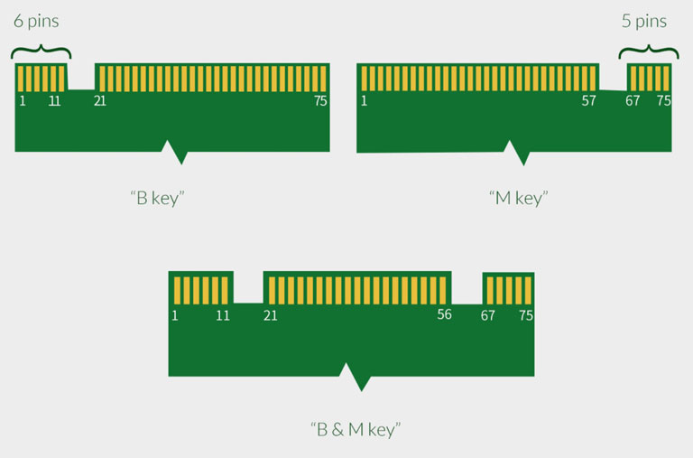 ORICO M.2 PCIe Adapter NVMe & SATA Dual Protocol, M2 NVMe SSD to PCI-e ...