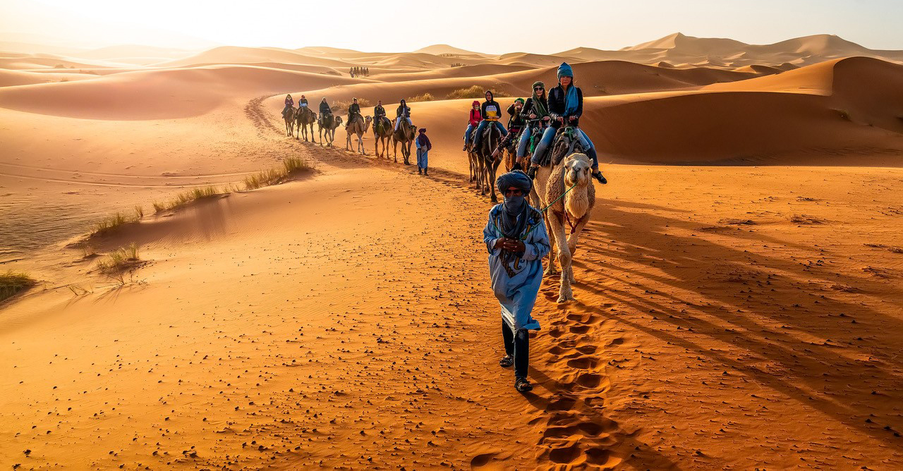 Global Experiences Card Powered by Viator $250 Gift Cards (Email ...