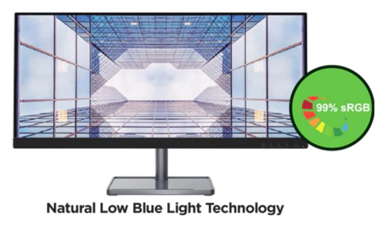 Lenovo L29w-30 Everyday Monitor 29 Inch QHD 90 Hz AMD FreeSync - Newegg.com