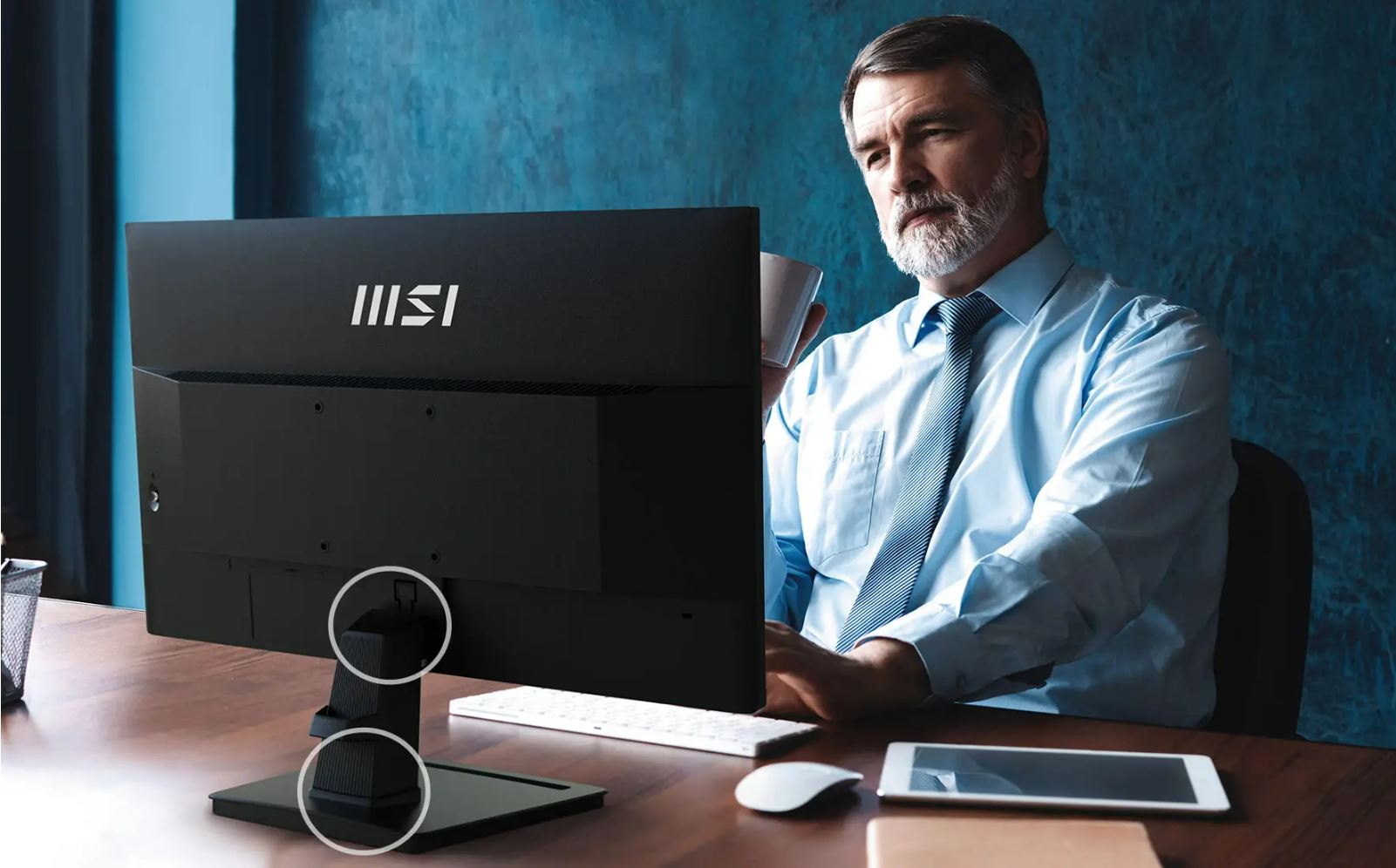 MSI PRO MP251 25" 16:9 IPS Monitor, 100Hz 1ms, 1920 x 1080 (FHD ...