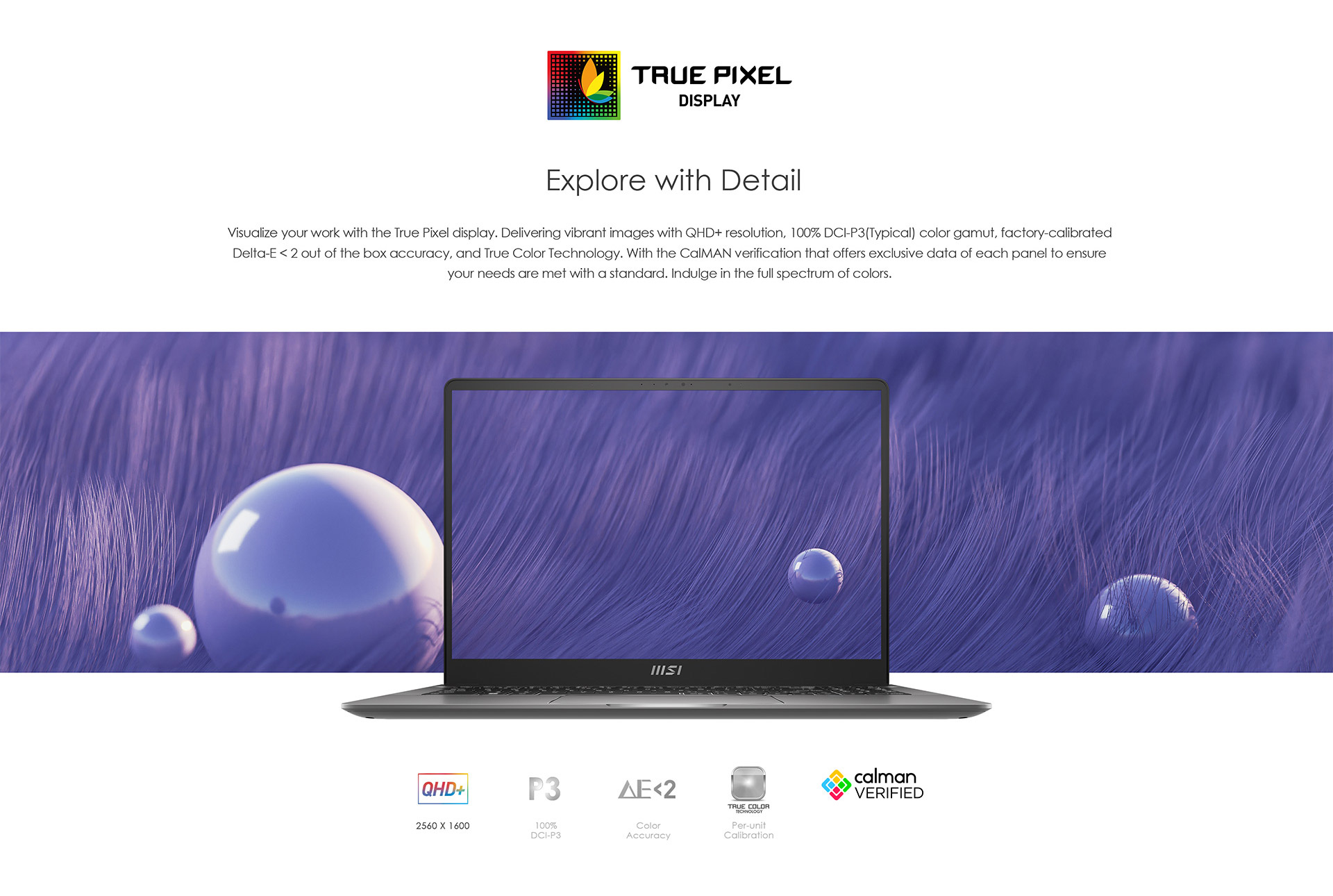 MSI Laptop Intel Core i9-13980HX 64GB Memory 2 TB NVMe SSD GeForce RTX ...