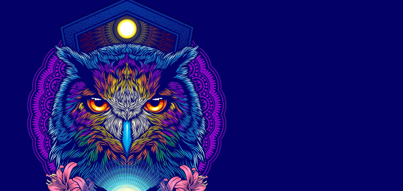 CorelDRAW Graphics Suite 2021 - Download - Newegg.com