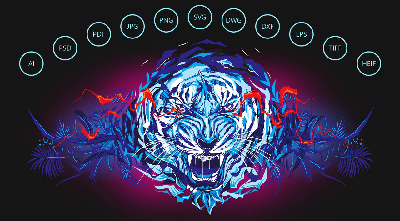 CorelDRAW Graphics Suite 2021 - Download - Newegg.com