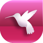 CorelDRAW Graphics Suite 2021 - Download - Newegg.com