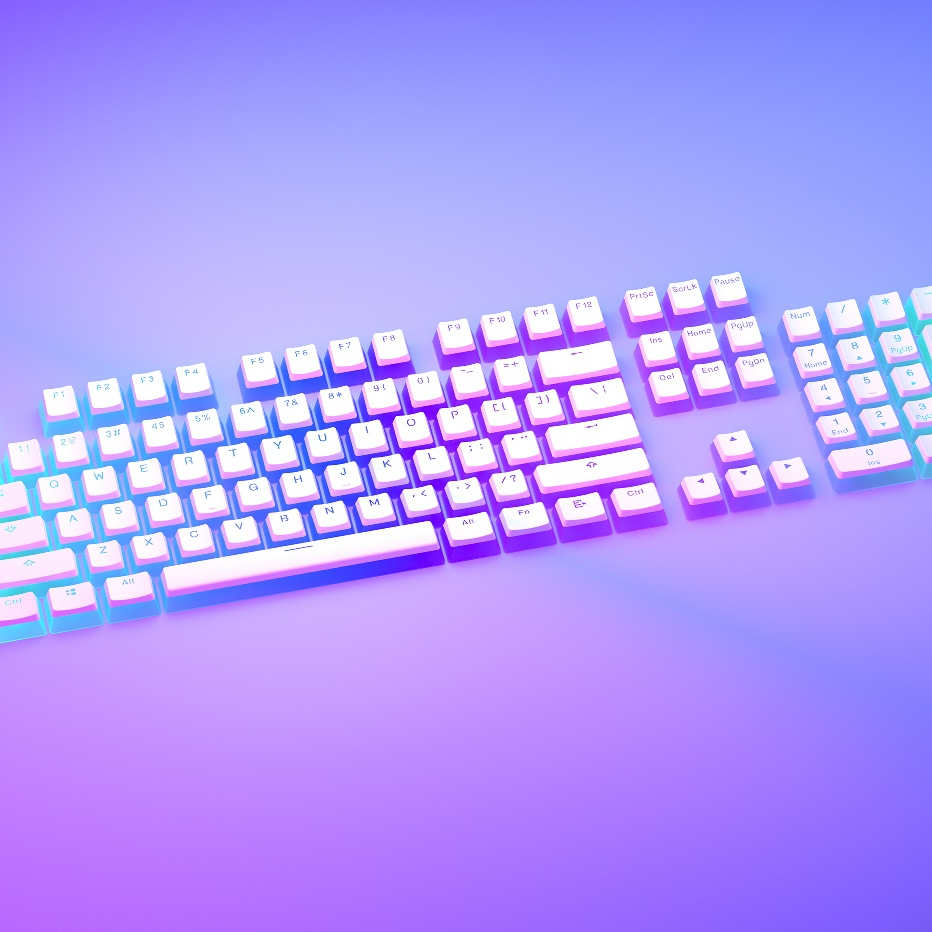 ENDORFY PBT Pudding Onyx White Keycaps, US ANSI layout, Double ...