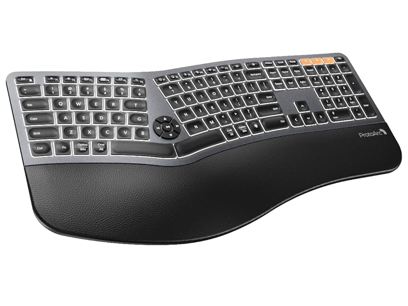 ProtoArc Backlit Wireless Ergonomic Keyboard, EK01 Plus Full Size Ergo ...