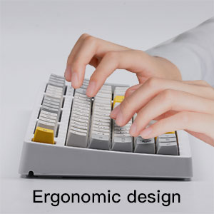 Epomaker TH98 Gaming Keyboard, 98-key Hot Swappable RGB 2.4Ghz ...