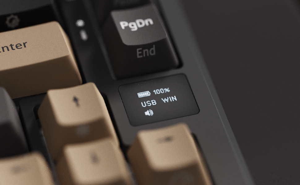 RK ROYAL KLUDGE M75 Mechanical Keyboard 2.4GHz/Bluetooth/USB-C Wired ...