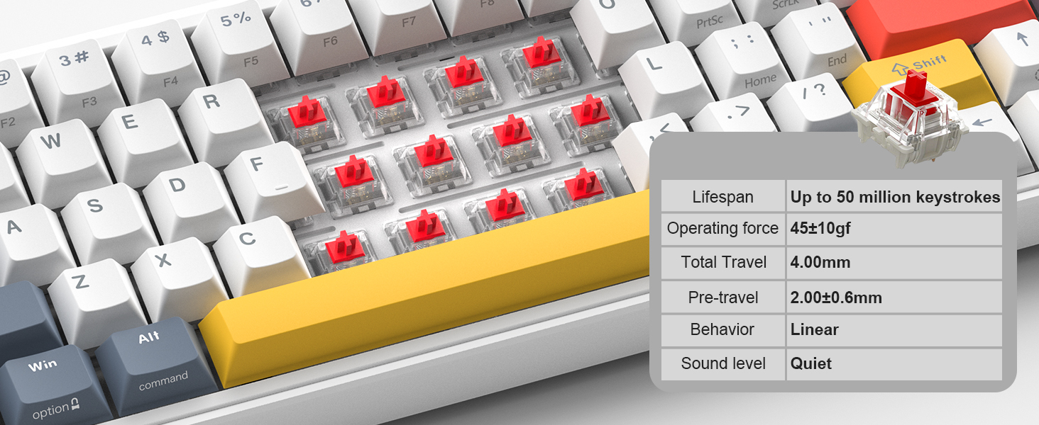 V-K66 60% Percent Keyboard, Mechanical Gaming Keyboard Gasket Mounted, Hot-swappable Keyboard ...