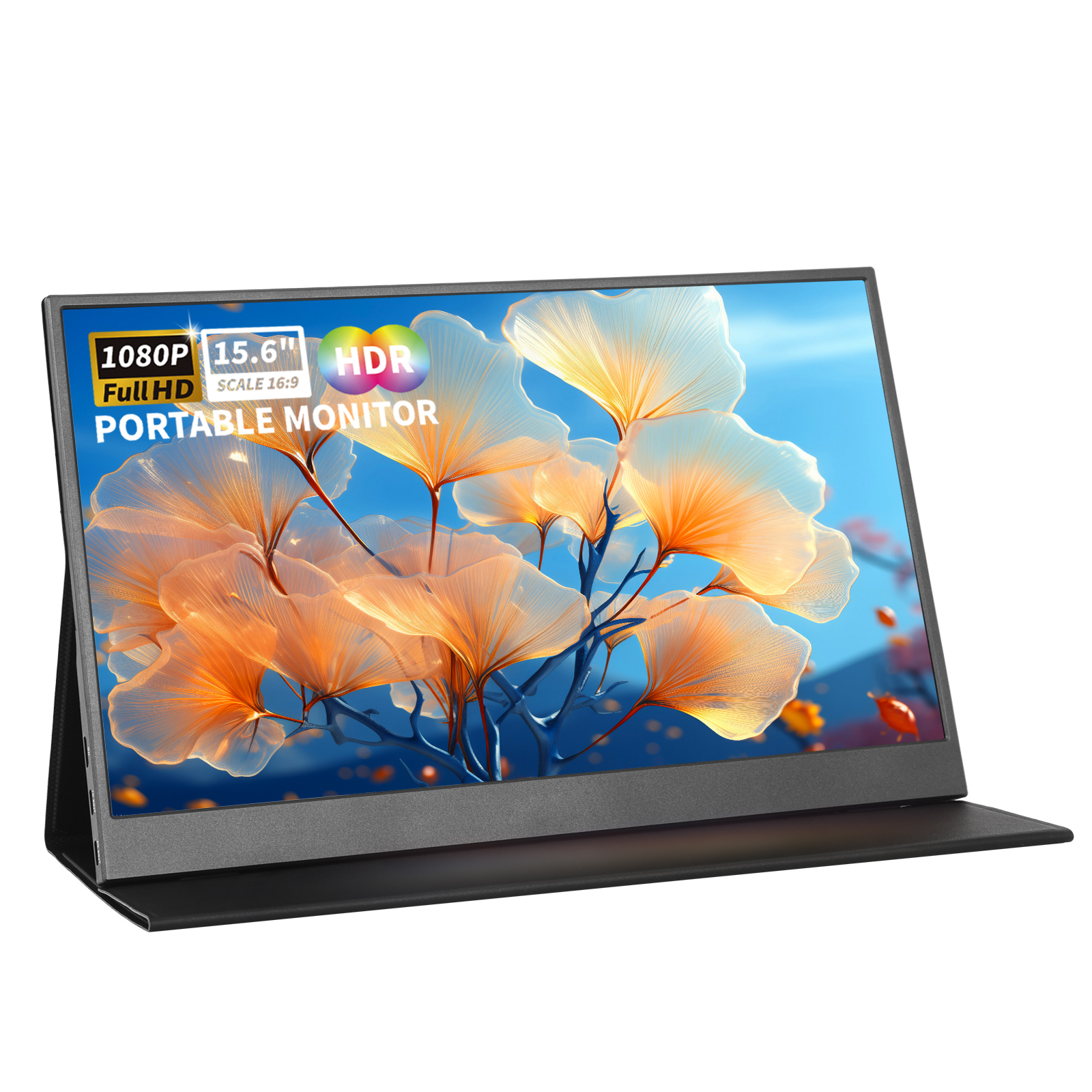 ReHisk 15.6" inch Portable Monitor IPS panel FHD 1080P HDR gaming ...