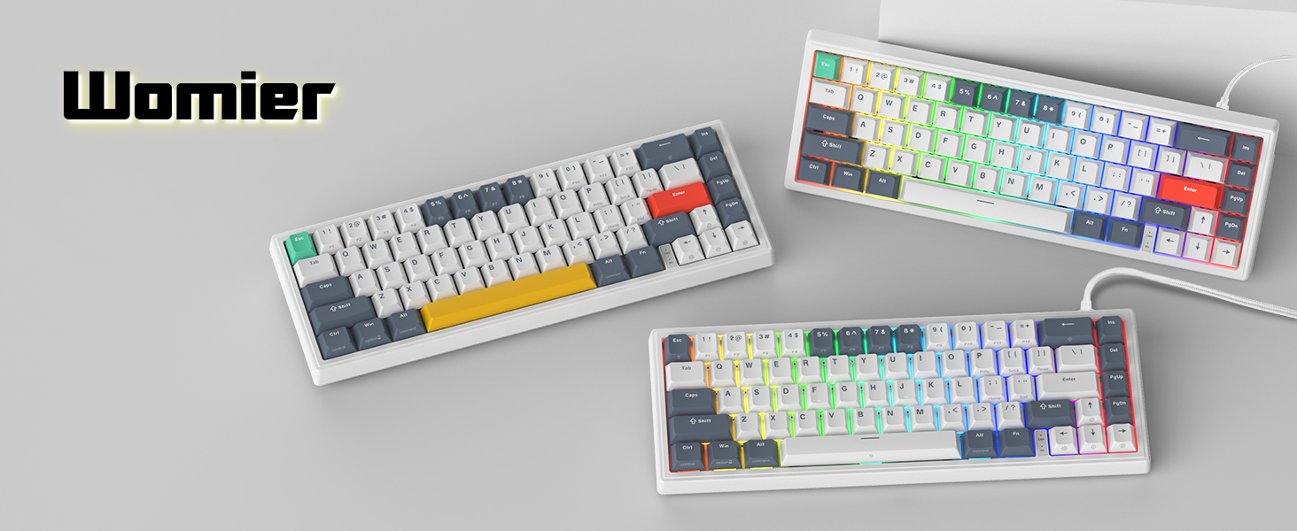 V-K66 60% Percent Keyboard, Mechanical Gaming Keyboard Gasket Mounted ...