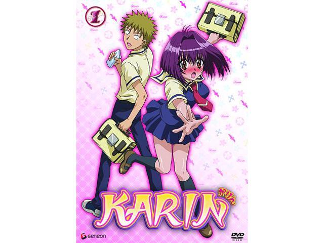 GENEON ENTERTAINMENT KARIN V1-INFUSION (DVD)-NLA D12935D - Newegg.com