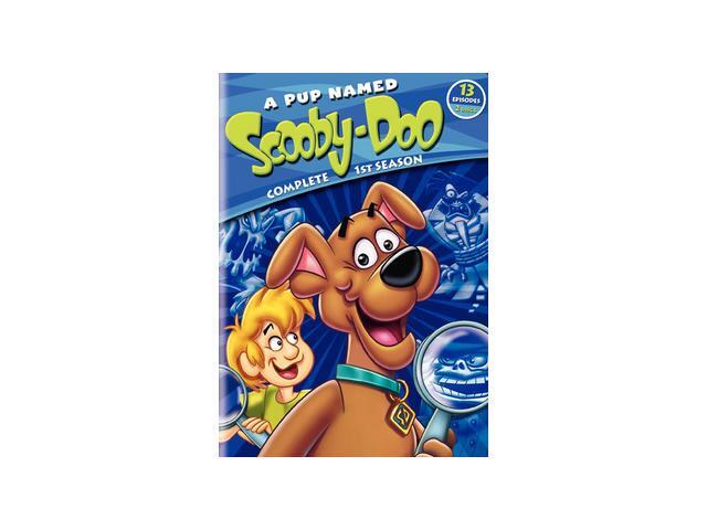 STUDIO DISTRIBUTION SERVI PUP NAMED SCOOBY-DOO-COMPLETE 1ST SEASON (DVD ...