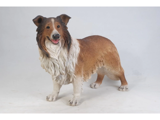 Hi-Line Gift Collie Statue - Newegg.ca