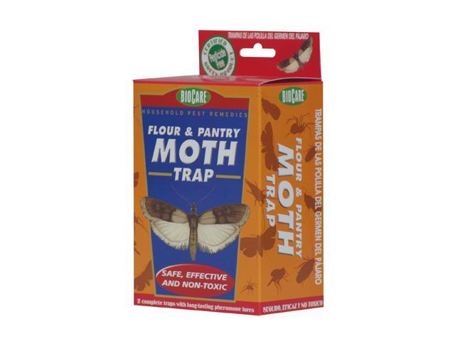 Flour & Pantry Moth Trap - Newegg.com