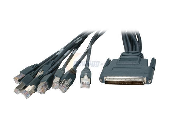 BYTECC 10 ft. CISCO Router cable HPDB68M/RJ45 x 8 - Newegg.com