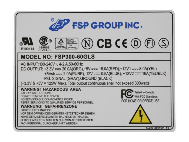 FSP Group FSP300-60GLS 300Watts Power Supply - Newegg.com