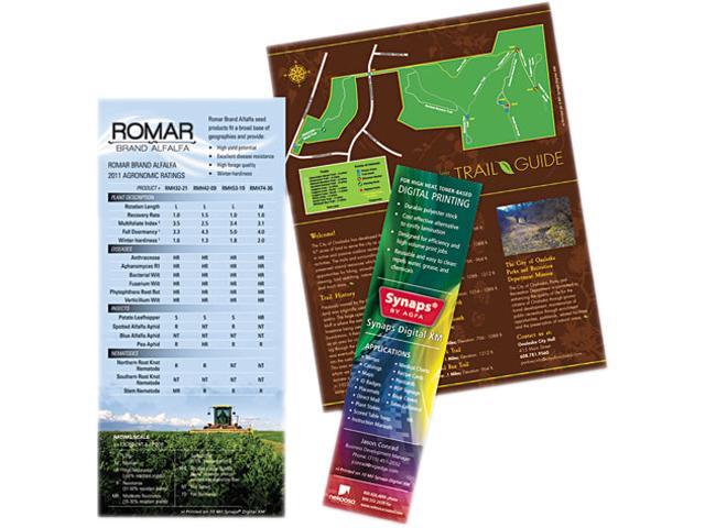 Synaps Digital Xm Synthetic Paper, 8 Mil, 8-1/2 X 11, White, 100/Pack ...