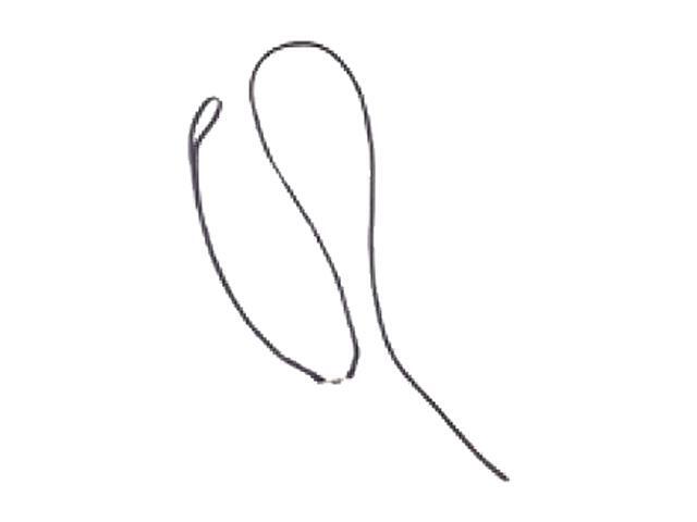 Fujitsu FMWST2 Deluxe Pen Tether (with swivel) - Newegg.com