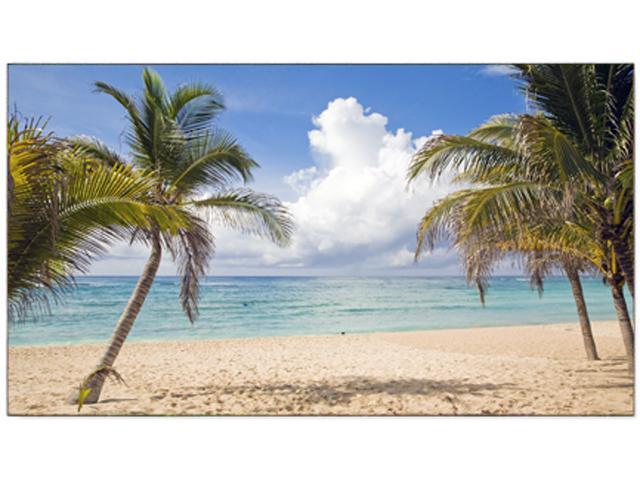 NEC X554UN 55" LED-Backlit Ultra-Narrow Bezel Professional-Grade Video ...