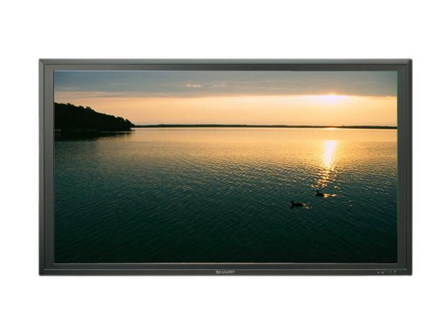 Large Format Monitor - Newegg.com