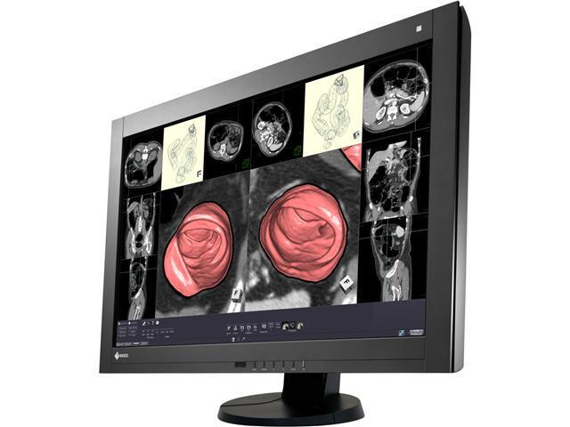 Eizo RadiForce RX430 29.8' LCD Monitor - 16:10 - 20 ms - Newegg.com