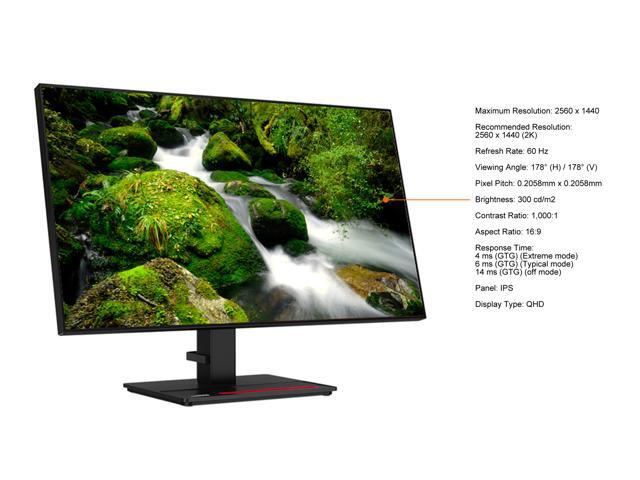 ThinkVision (Lenovo) P24q-20 61F5GAT1UK 23.8" QHD 2560 x 1440 (2K) 60 ...