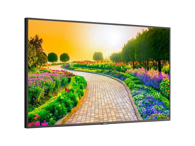 NEC Display Solutions M551 61-143-003 55" Professional Display w ...