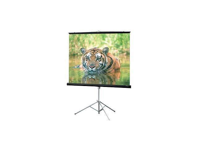 Draper Consul Portable Projection Screen - Newegg.com