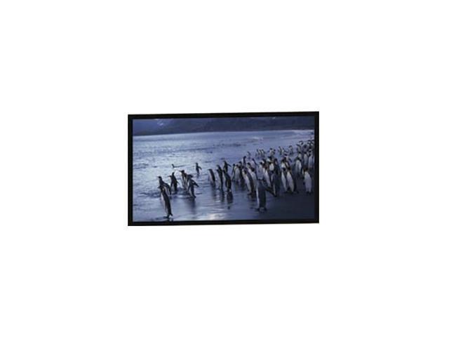 AccuScreens Fixed Frame Projection Screen - Newegg.com