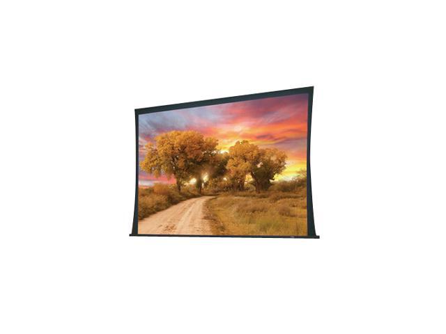 Draper Access V 102350L Projection Screen - Newegg.com