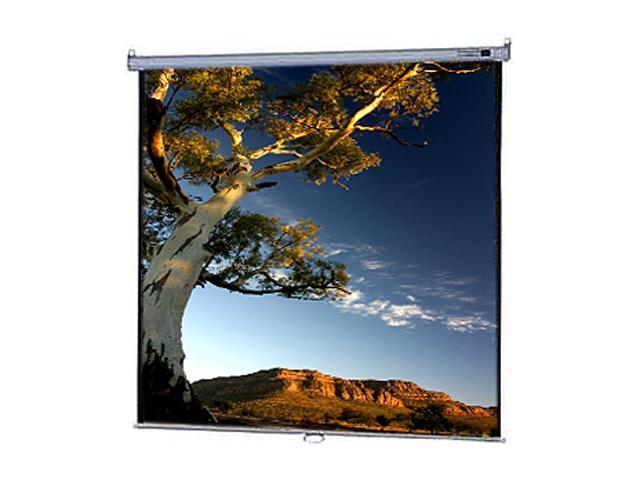 Da-Lite Model B Manual Wall and Ceiling Projection Screen - Newegg.com