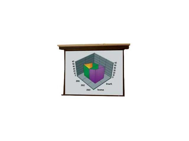 Draper Premier Electrically Operated Projection Screen - Newegg.com