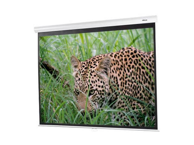 InFocus SC-PD-100 Manual Pull Down Screen - Newegg.ca
