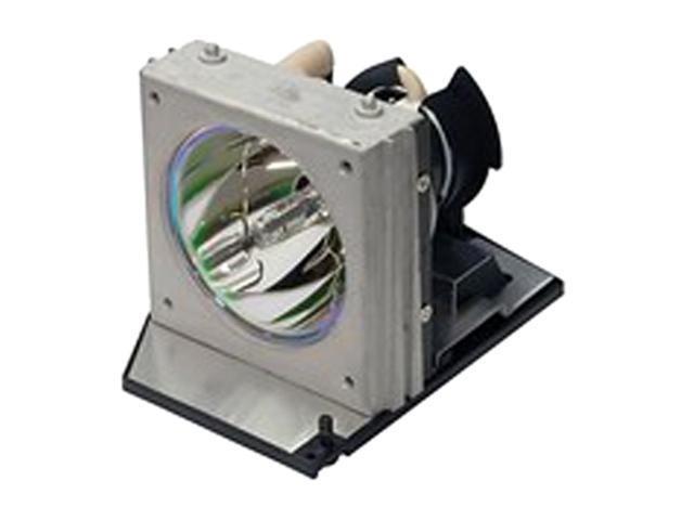 Optoma BL-FP200D Projector Replacement Lamp - Newegg.com