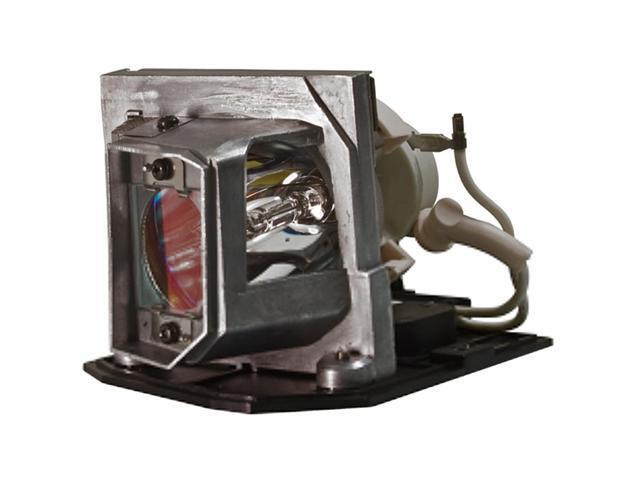 Optoma BL-FP230H Replacement Lamp - Newegg.com