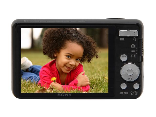 Sony DSC-W650/BFD Black Digital Camera with 8 GB SD and Case - Newegg.com
