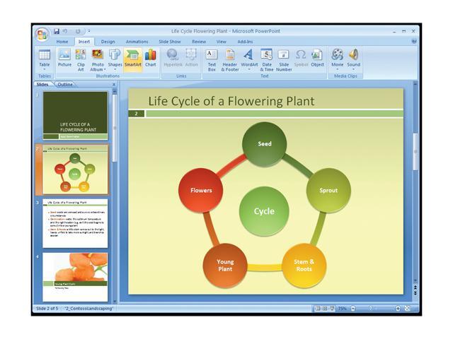 Microsoft PowerPoint 2007 Version Upgrad - Newegg.com