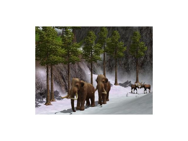 Wildlife Zoo PC Game - Newegg.com