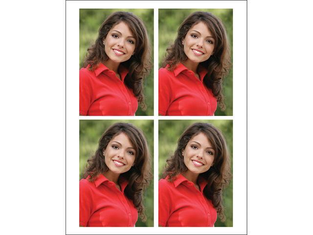 Individual Software PhotoStudio Expressions Platinum 6 - Newegg.com