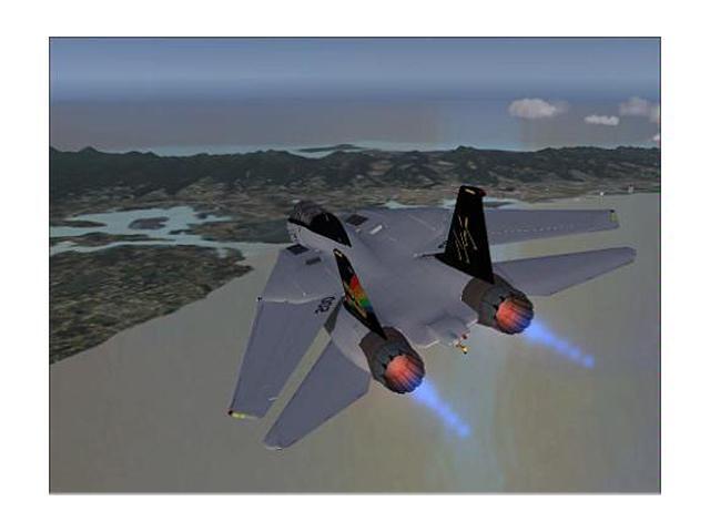 F-14D Super Tomcat PC Game - Newegg.com