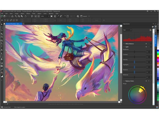 CorelDRAW Graphics Suite 2021 - Download - Newegg.com